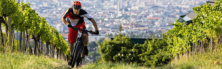 Jobs - KTM Bikes
